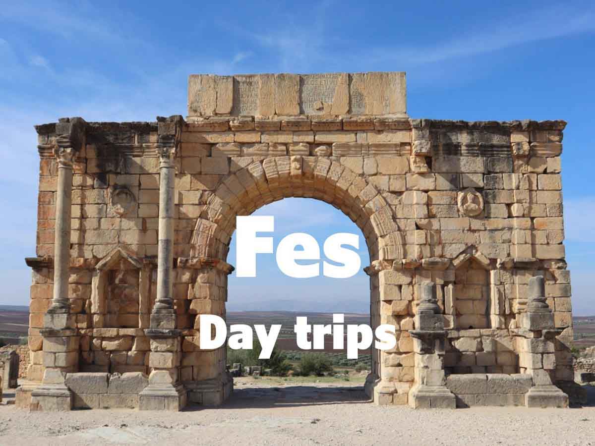 13 unique things to do in Fes | Not Scared of the Jetlag