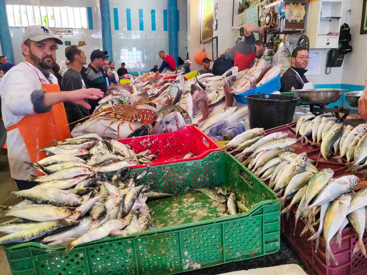 The 7 best things to do in Tangier, Morocco | Not Scared of the Jetlag